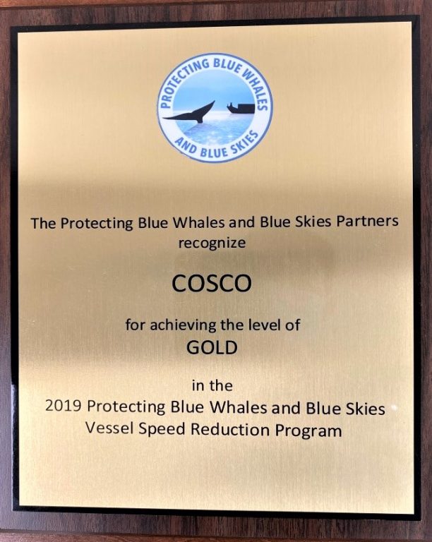 Awards & Recognition